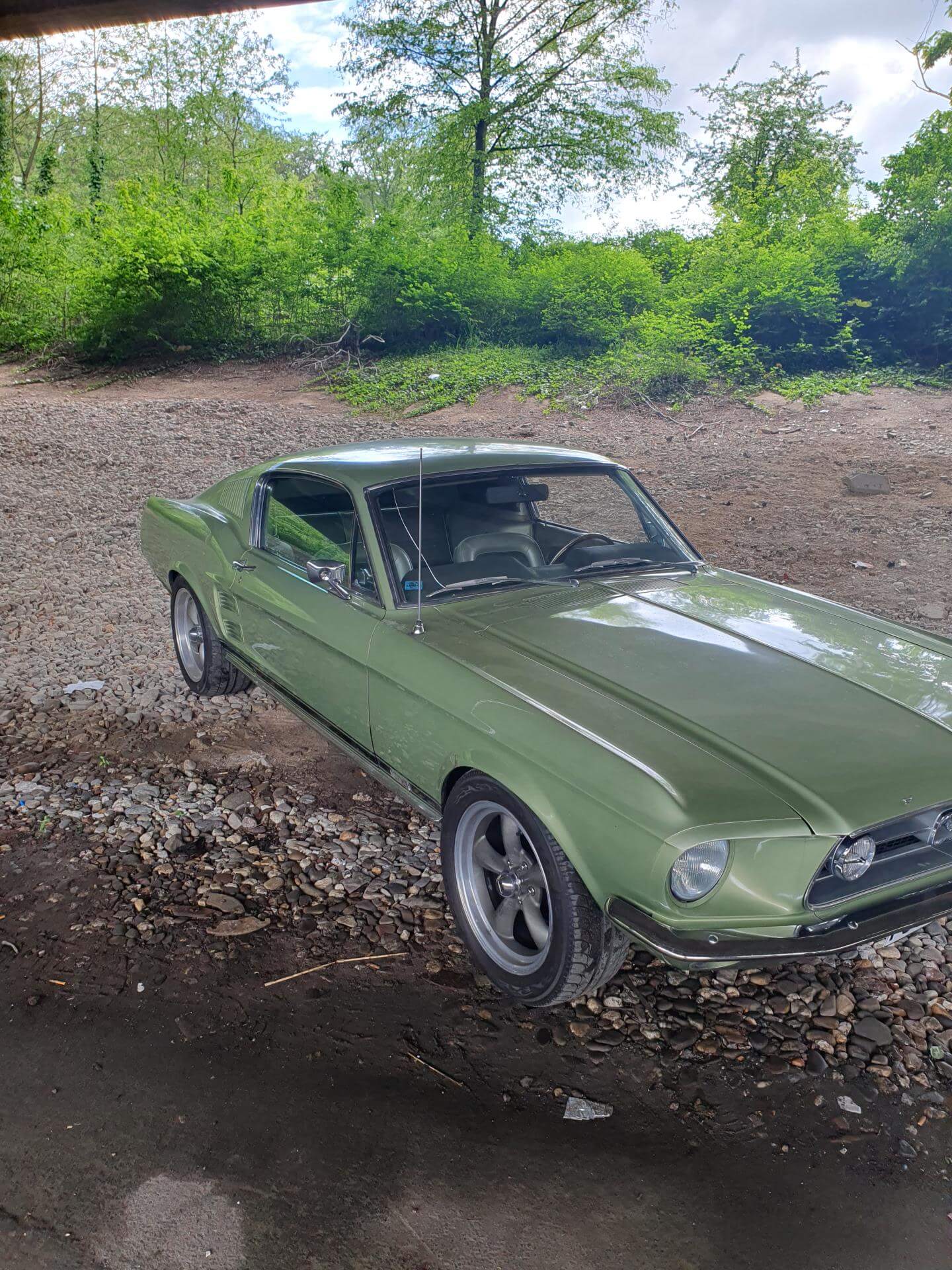 Ford Mustang Fastback, Oldtimer von 1967 - My Next Classic